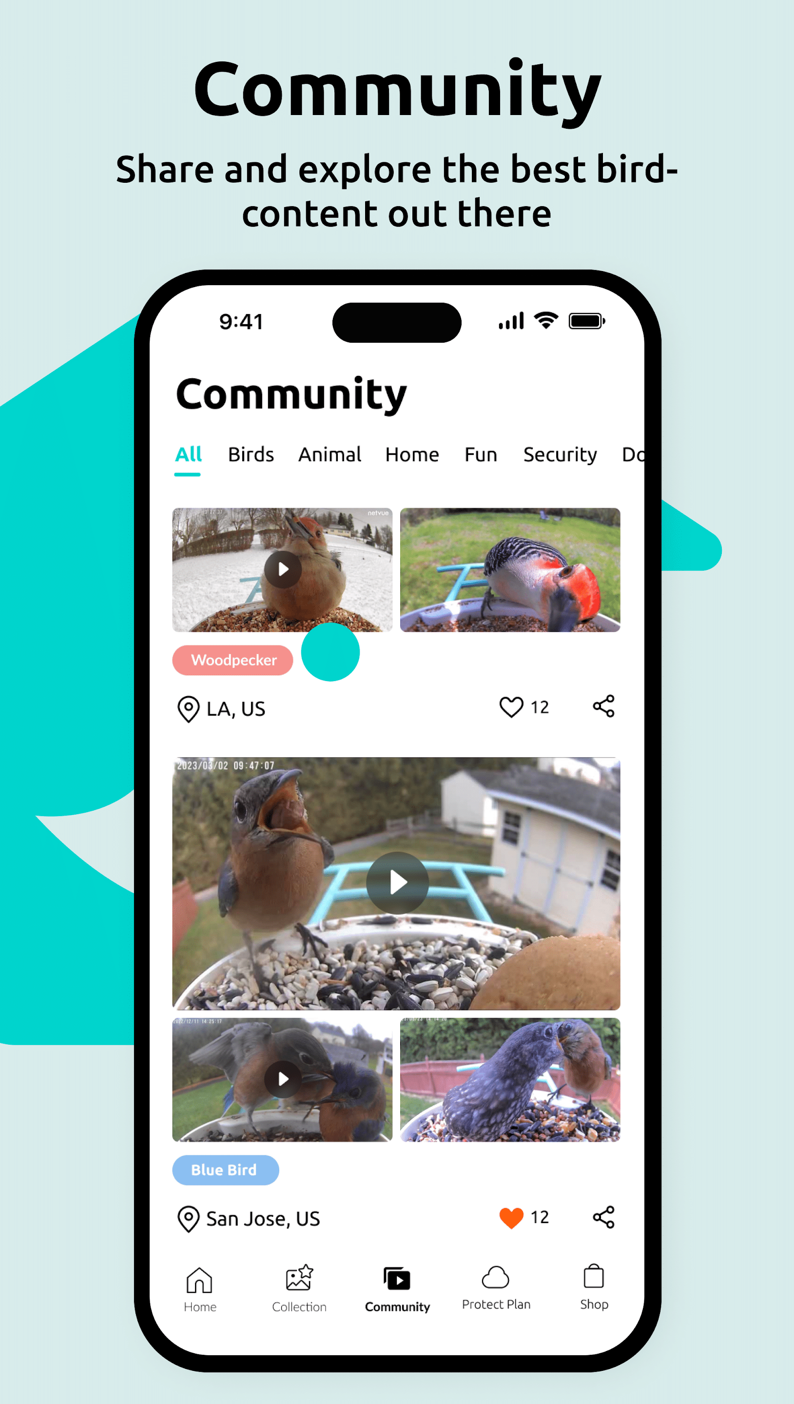 Birdfy.App - Birds in sight, joy in mind