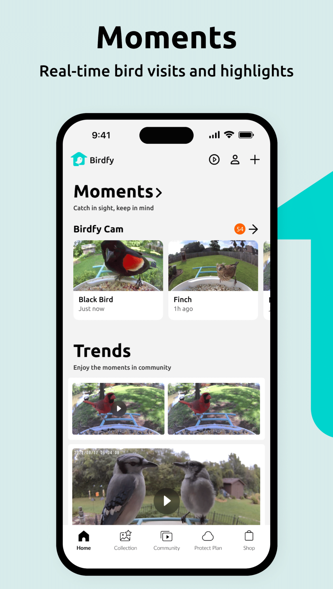 Birdfy.App - Birds in sight, joy in mind