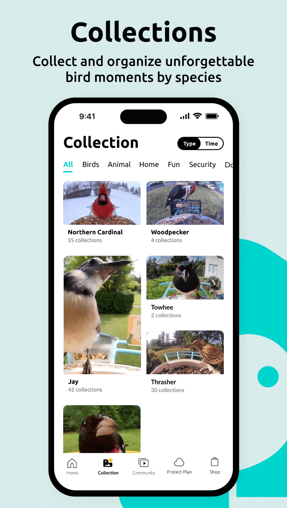 Download - Birdfy.App