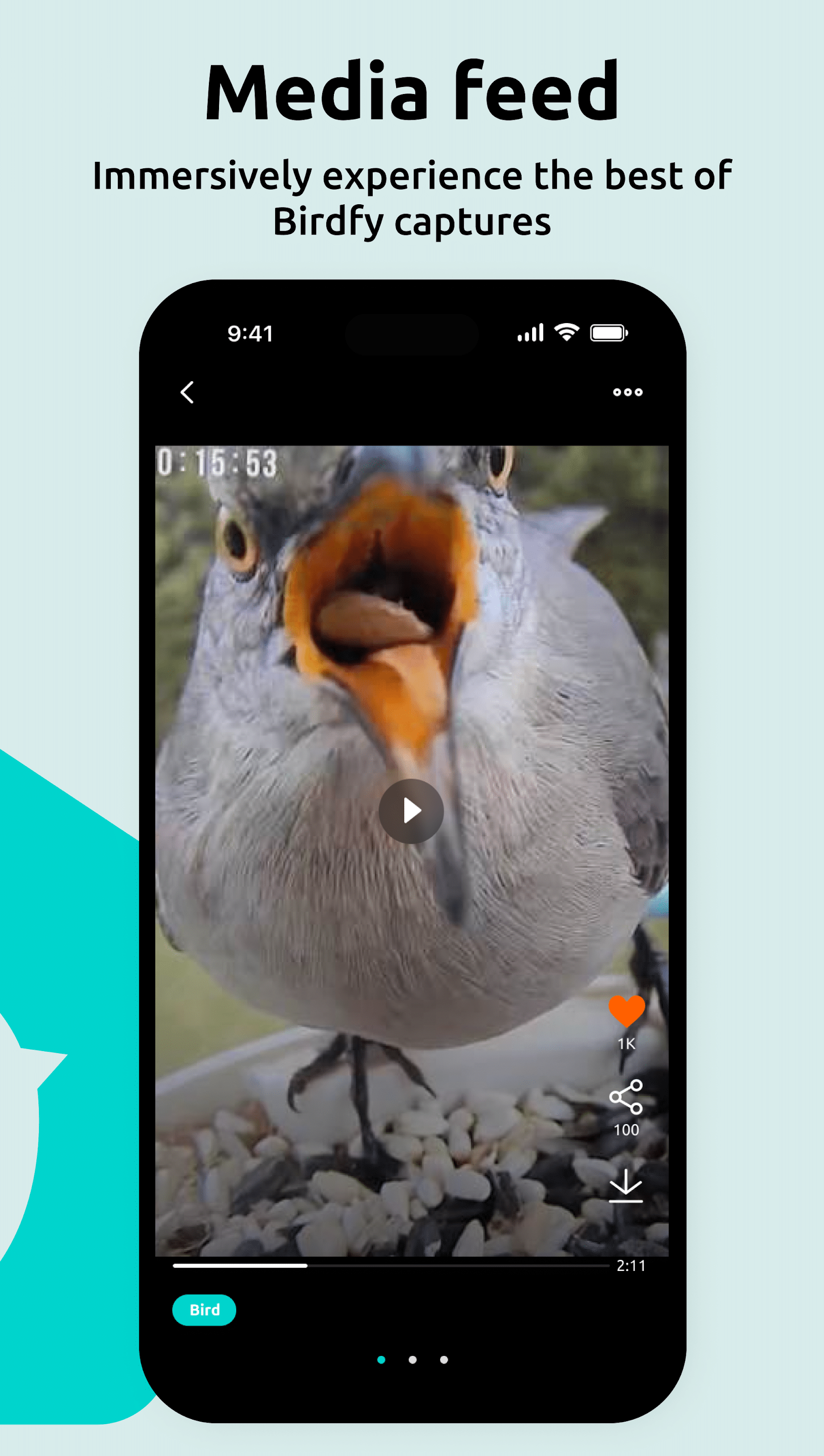 Birdfy.App - Birds in sight, joy in mind
