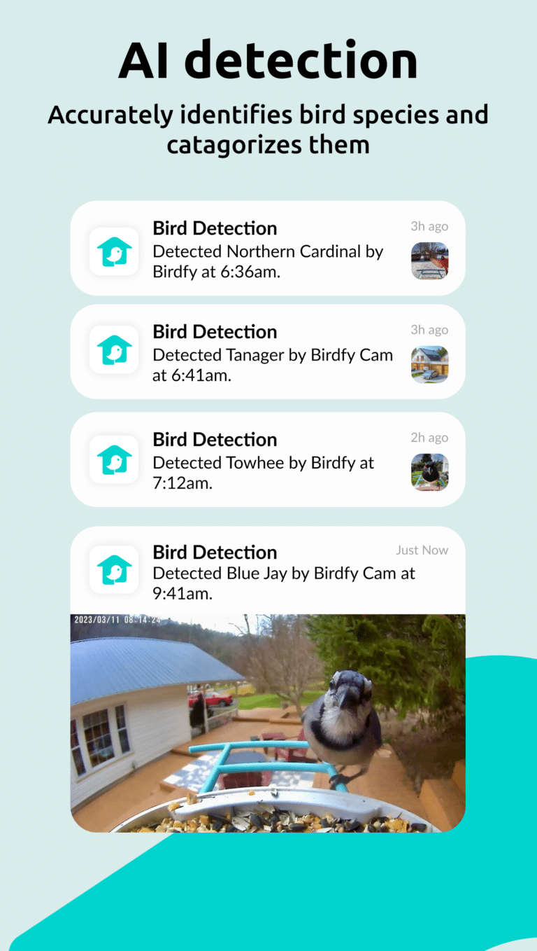 Birdfy.App - Birds in sight, joy in mind